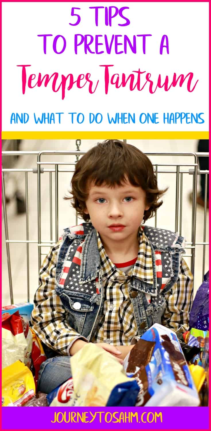 How to Handle and Prevent Toddler Tantrums Like a Pro Mom