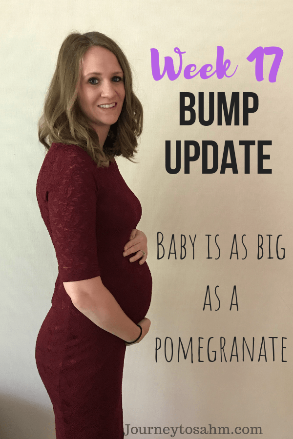 Bump Update: Week 17 - Journey to Stay at Home Mom